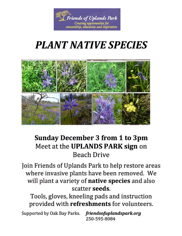 Invitation to Help Plant Native Species – Uplands Park – Sunday Dec 3 ...